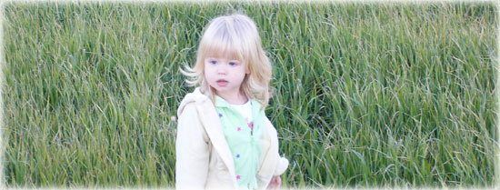 Integrity Ag Services