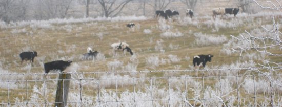 Integrity Ag Services